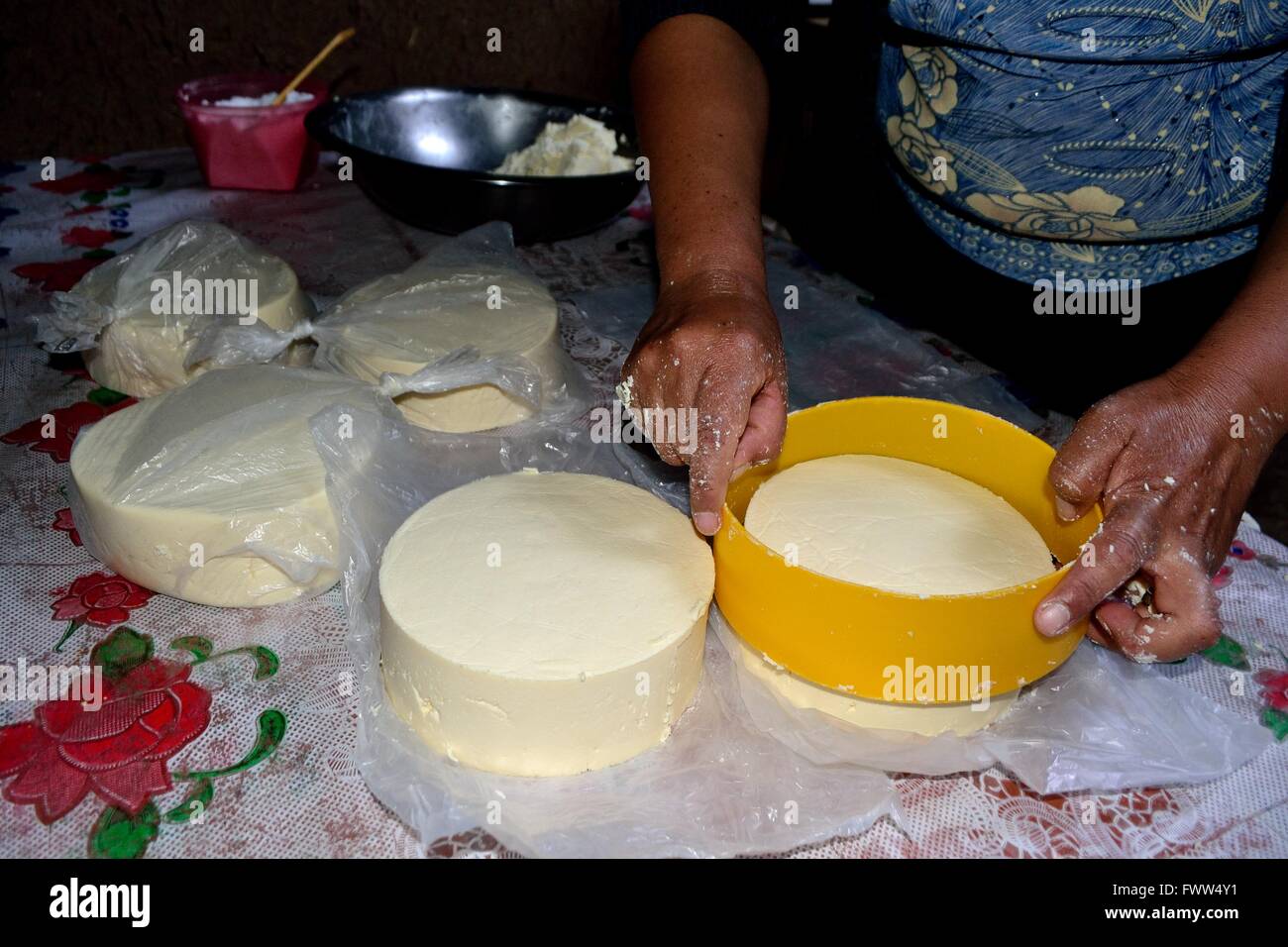 Elaboration of traditional cheese in Sapalache " Las Huaringas ...