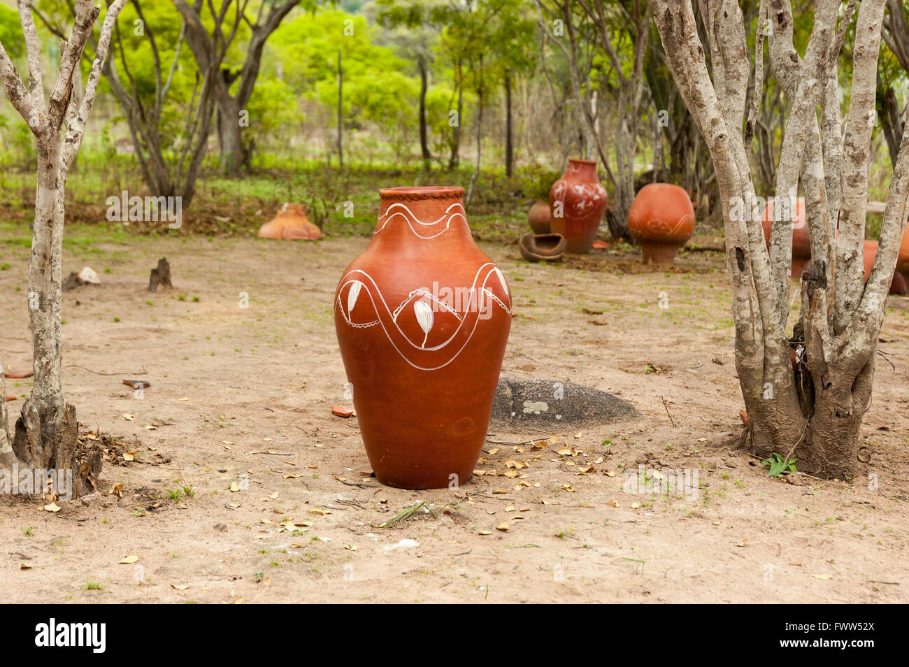 Brazilian pottery tree hi-res stock photography and images - Alamy