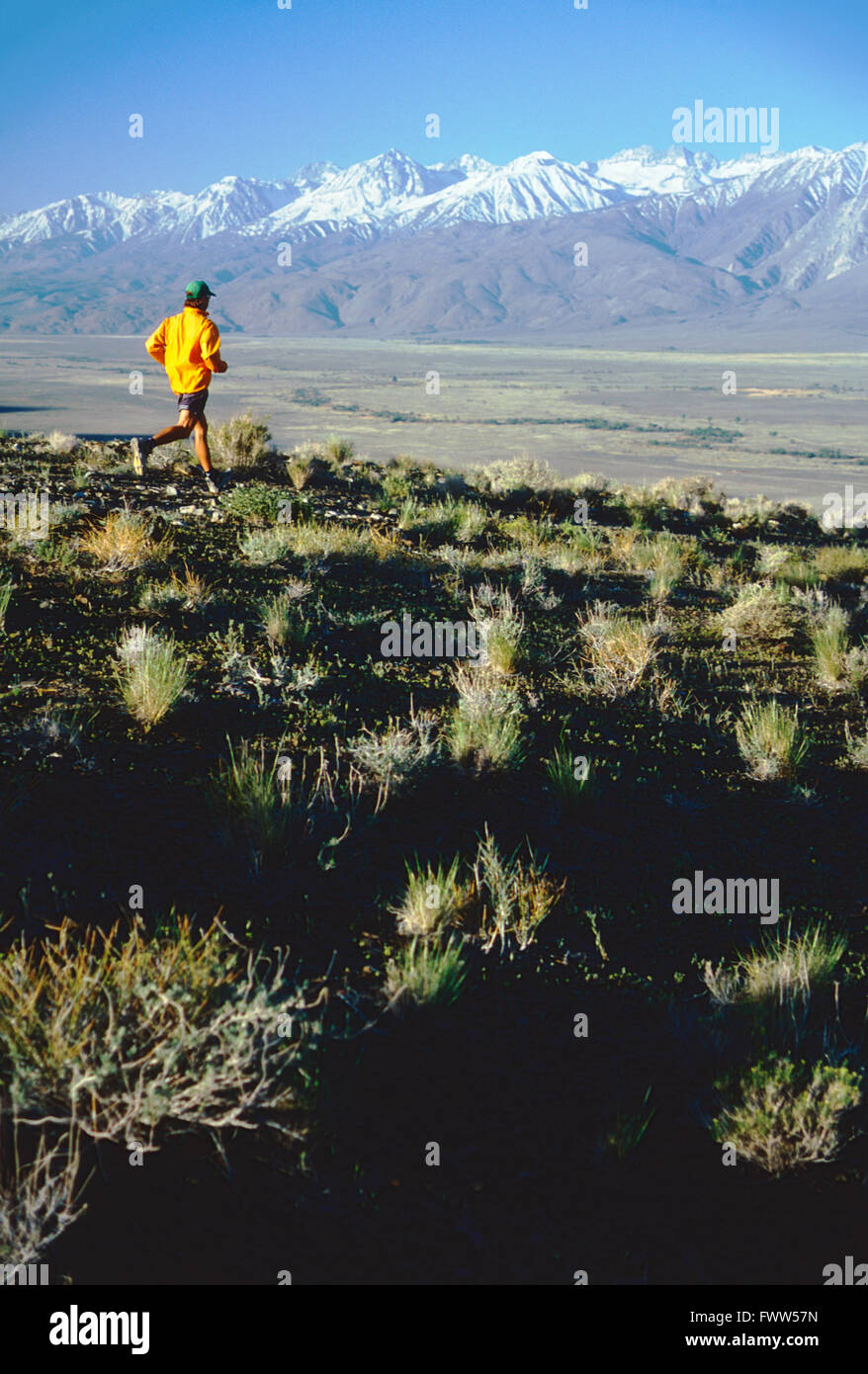 Fit young male athlete trail runner in Sierra Nevada, California ...