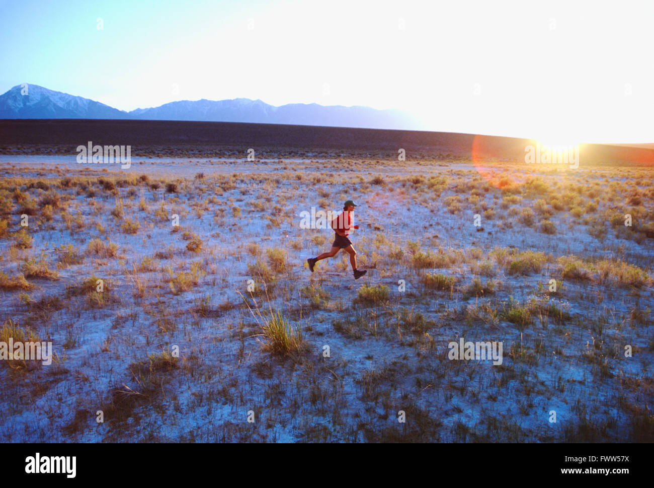 Male athlete hi-res stock photography and images - Alamy