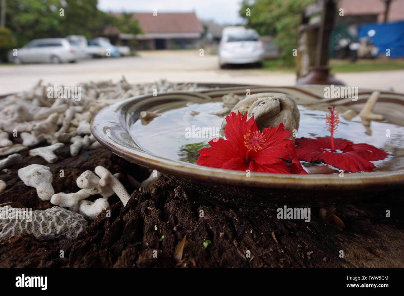 Yachimun, okinawa, 日本,やちむん,陶器, japan, japanese,沖縄 Stock Photo - Alamy