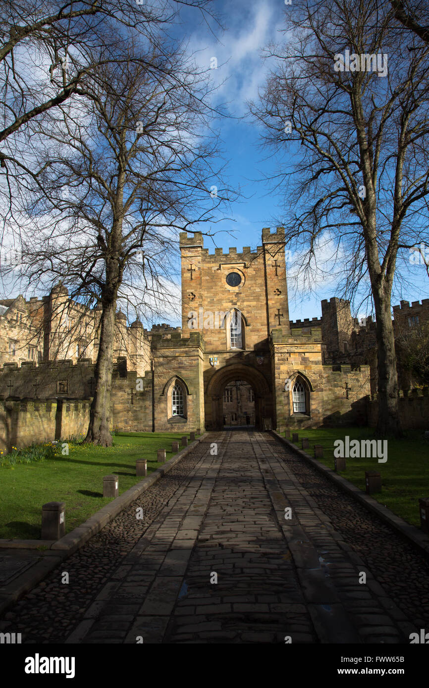Durham College Stock Photos & Durham College Stock Images - Alamy