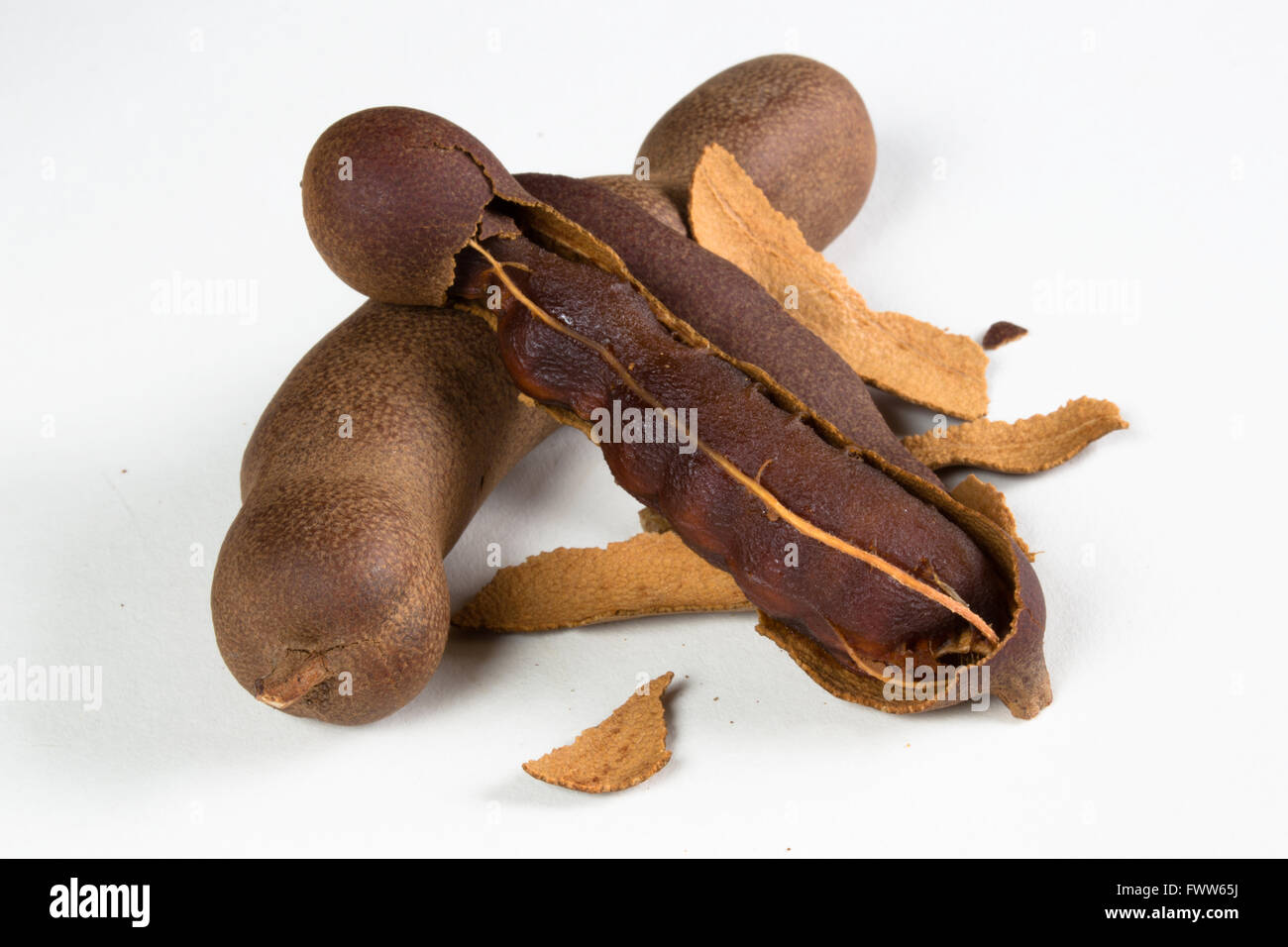 Tamarind Plant High Resolution Stock Photography and Images - Alamy