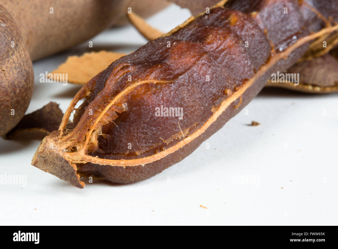 Tamarind Plant High Resolution Stock Photography and Images - Alamy