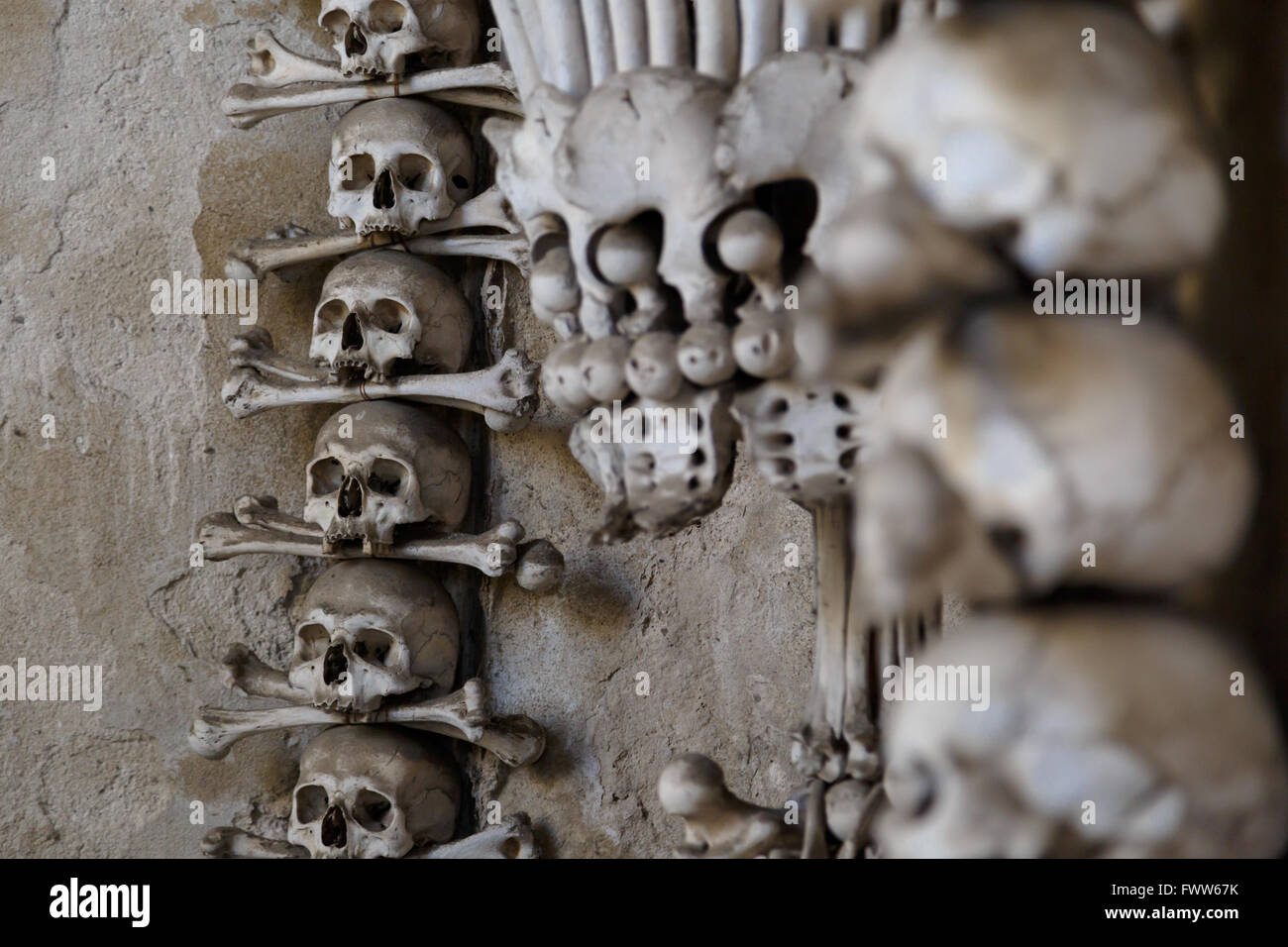 Real human skeleton hi-res stock photography and images - Alamy