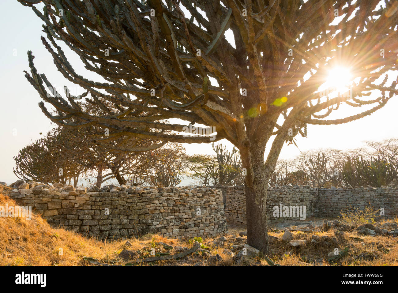 Naletale ruins in zimbabwe hi-res stock photography and images - Alamy