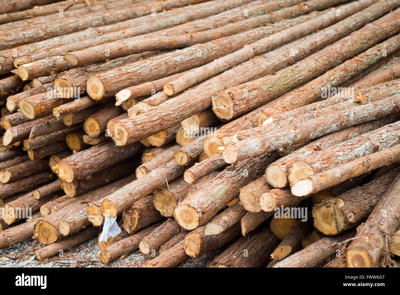 Material timber hi-res stock photography and images - Alamy