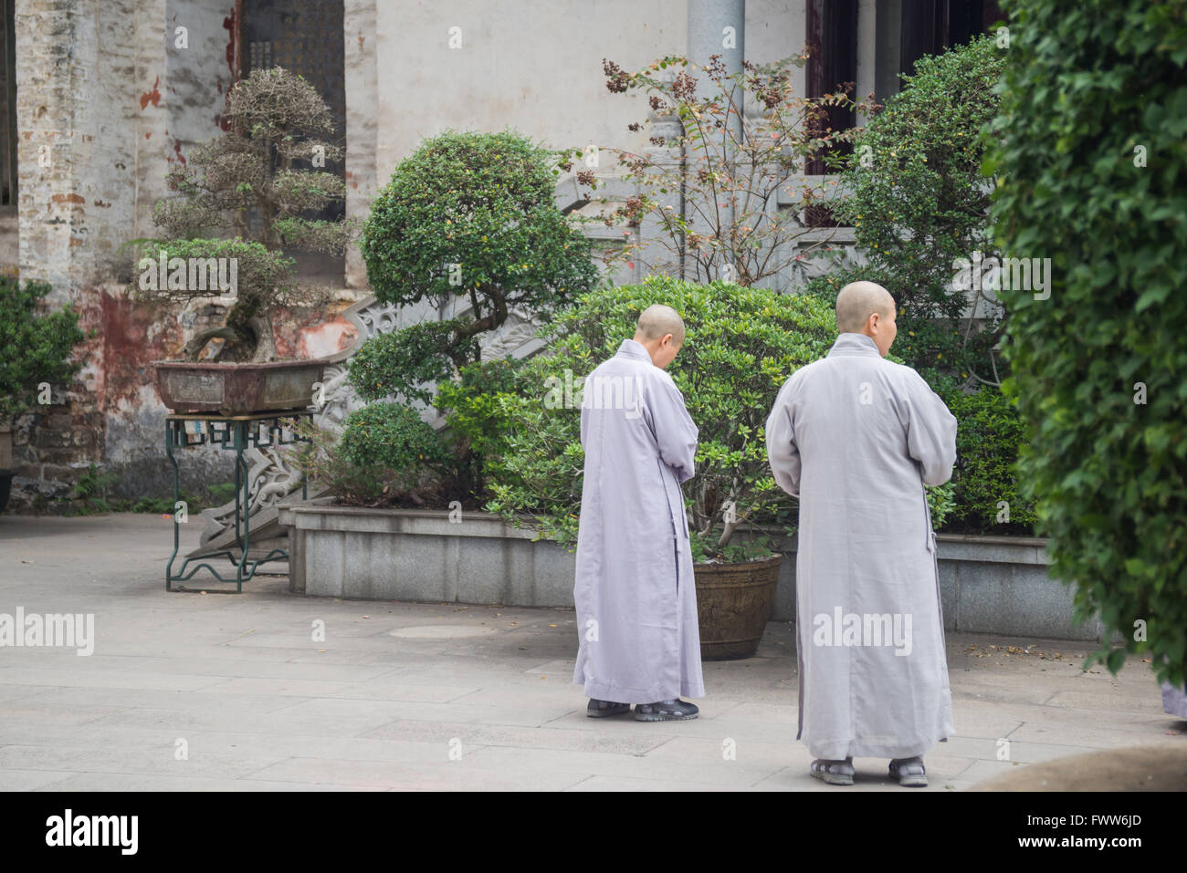 two monks in a temple Stock Photo - Alamy