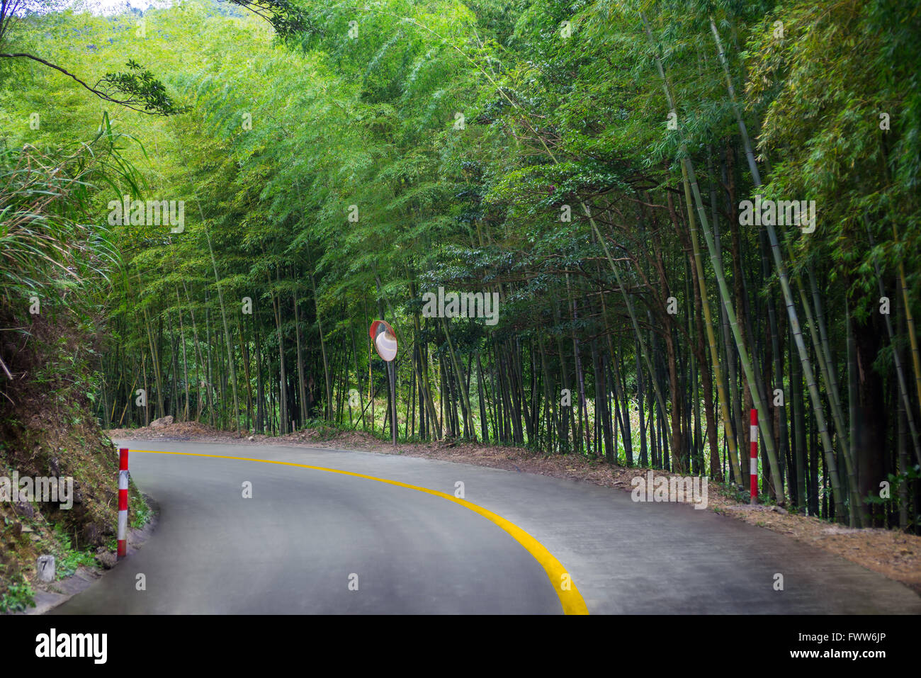 Bamboo curve High Resolution Stock Photography and Images - Alamy