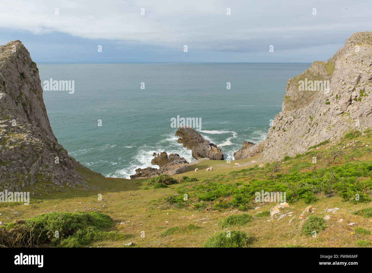 Mewslade bay gower wales hi-res stock photography and images - Alamy
