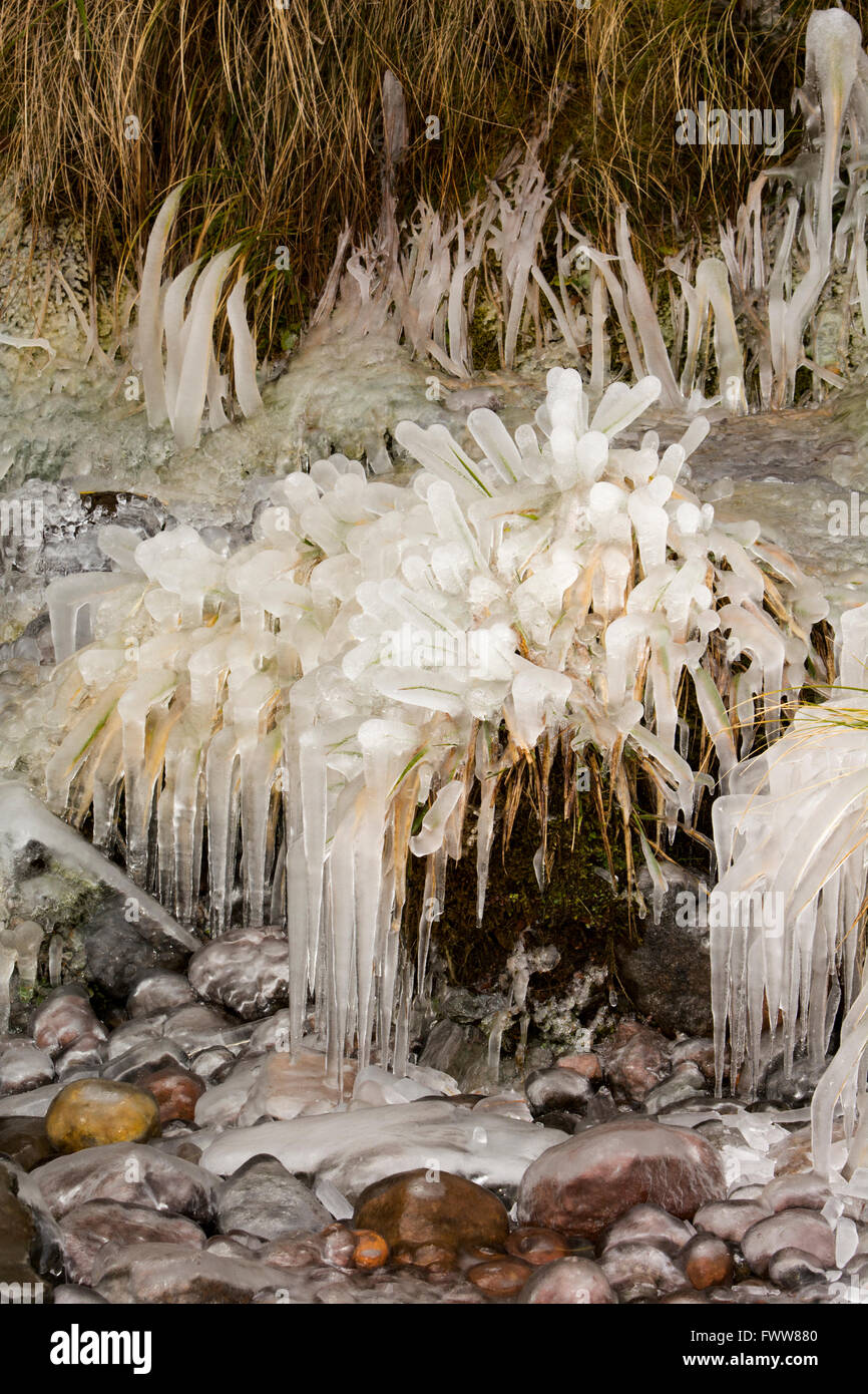 After a cold spring night a lot of water of the Soda Springs in ...