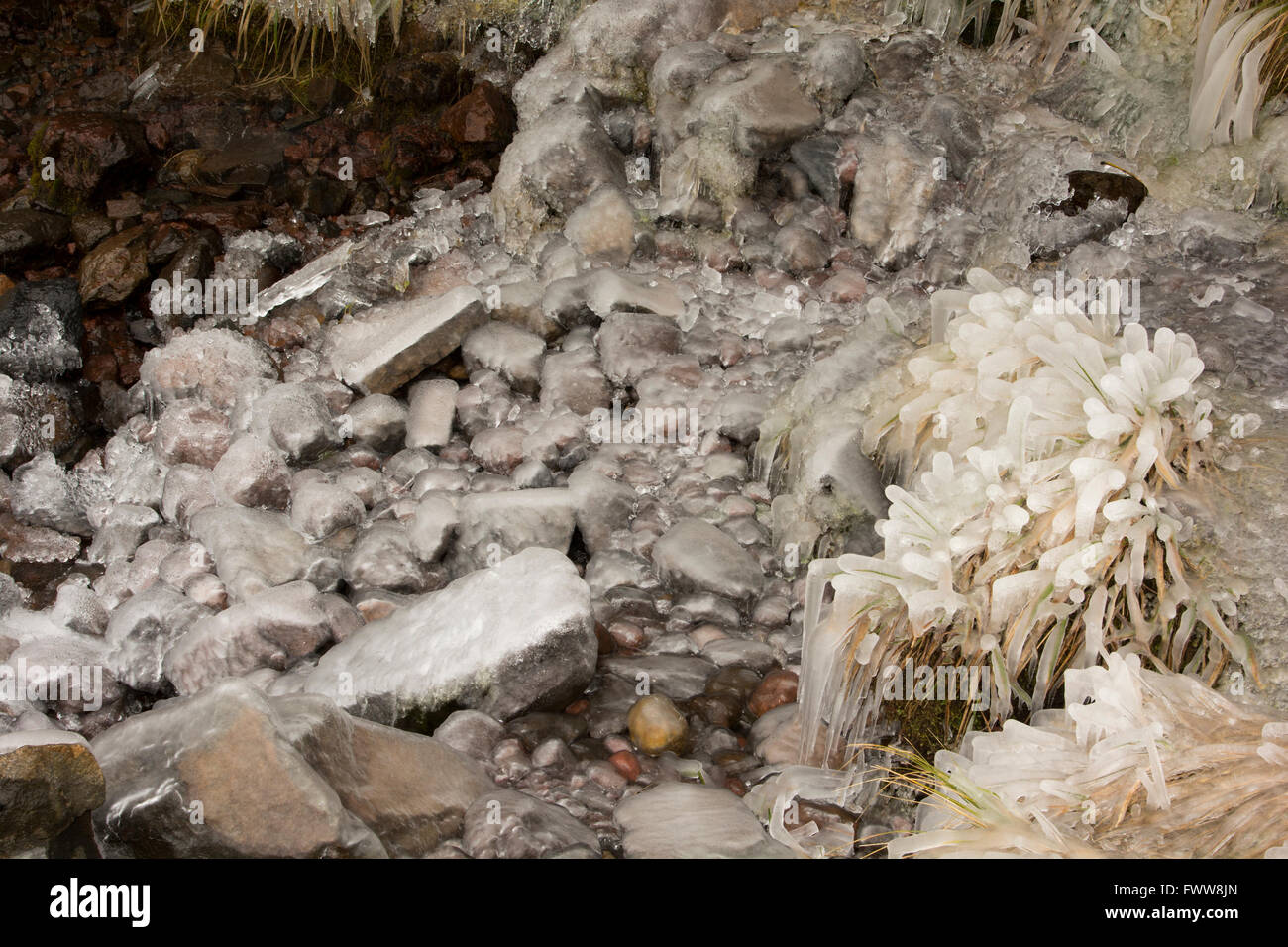 After a cold spring night a lot of water of the Soda Springs in ...