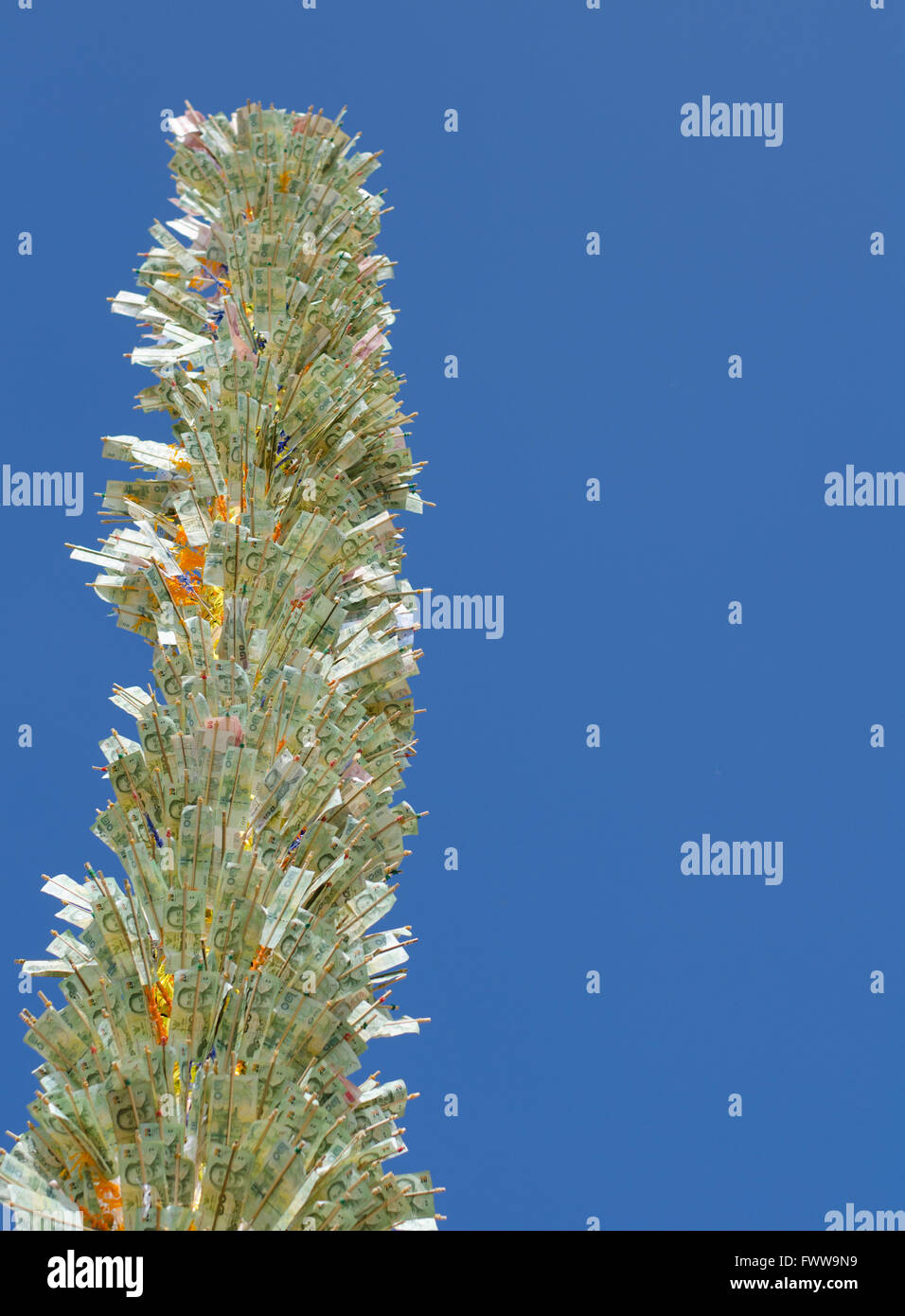 money tree buddhist on blue sky background Stock Photo - Alamy