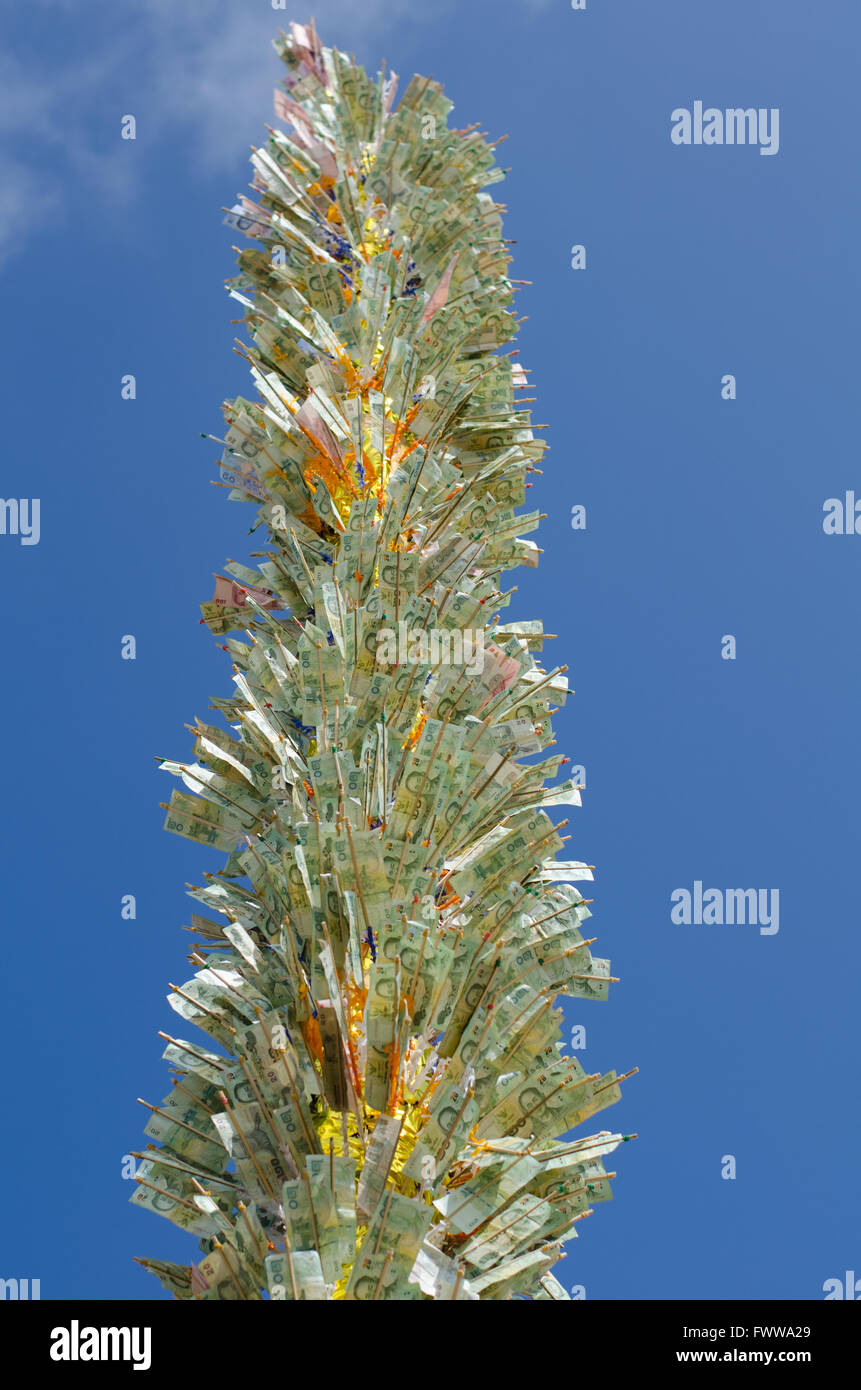 money tree buddhist on blue sky background Stock Photo - Alamy