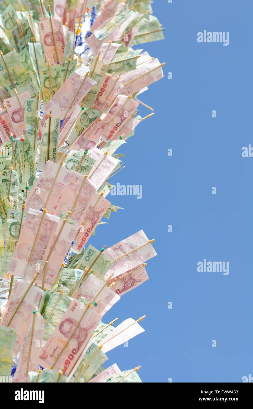 Thai baht money tree hi-res stock photography and images - Alamy