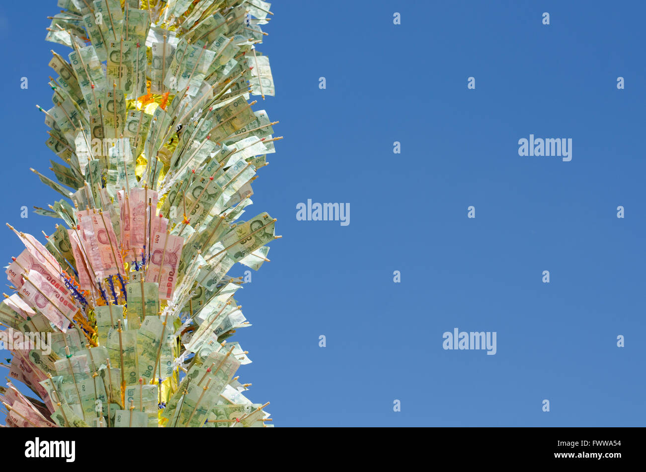 money tree buddhist on blue sky background Stock Photo - Alamy