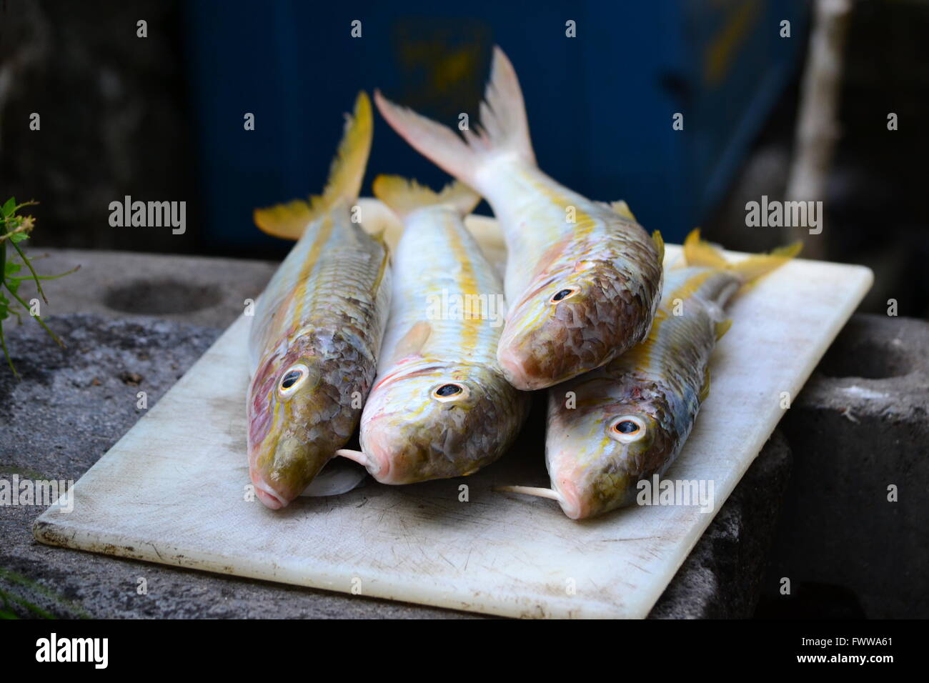 fresh fish on chopping board outdoor Stock Photo - Alamy