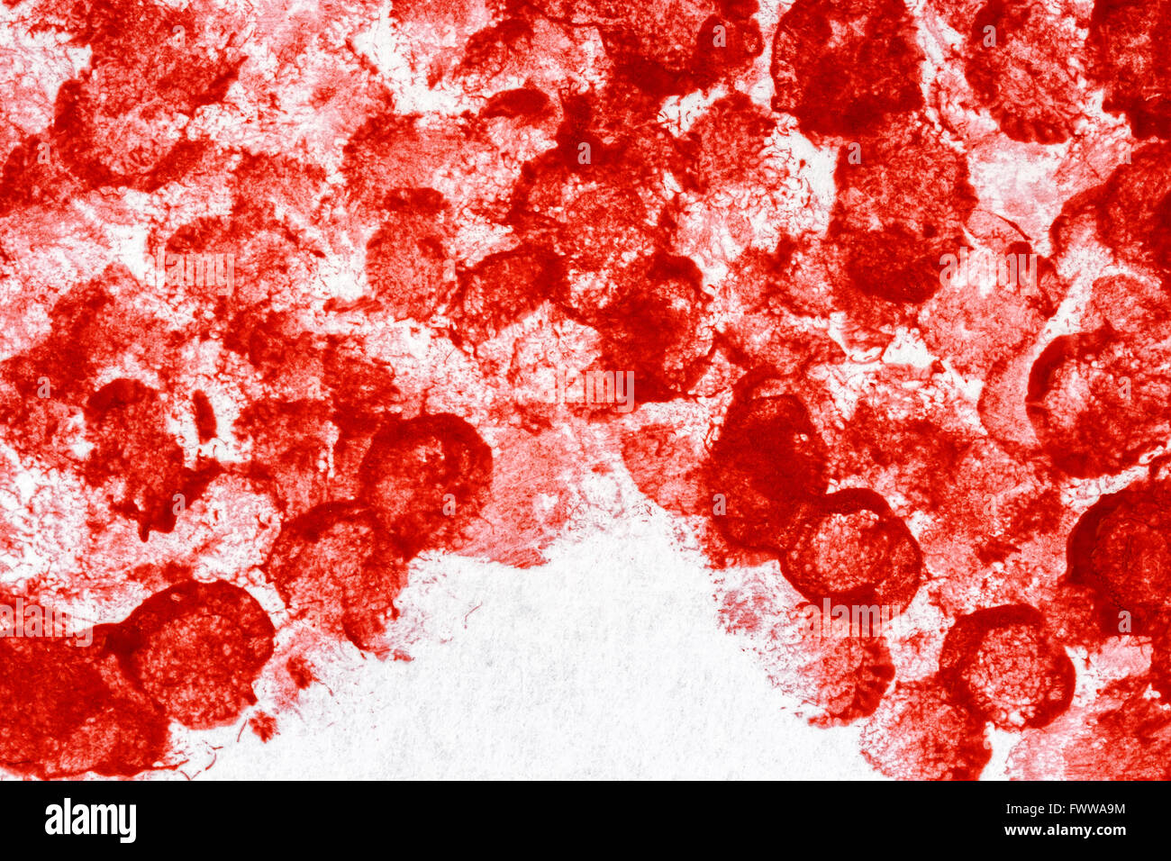 Abstract hand painted red acrylic arts background Stock Photo - Alamy
