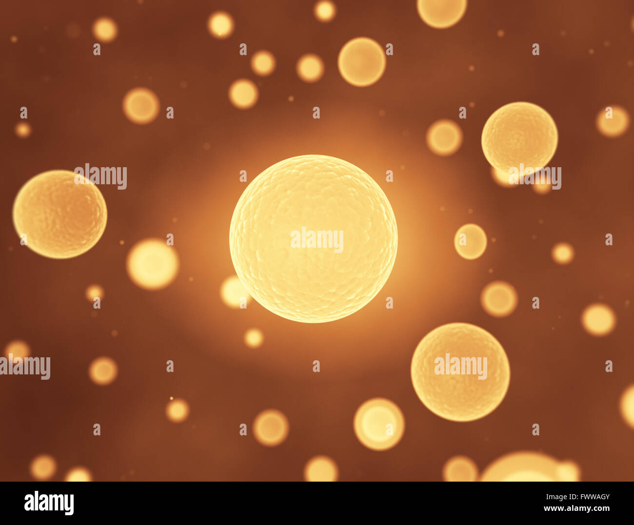 Bacteria under microscope hi-res stock photography and images - Alamy