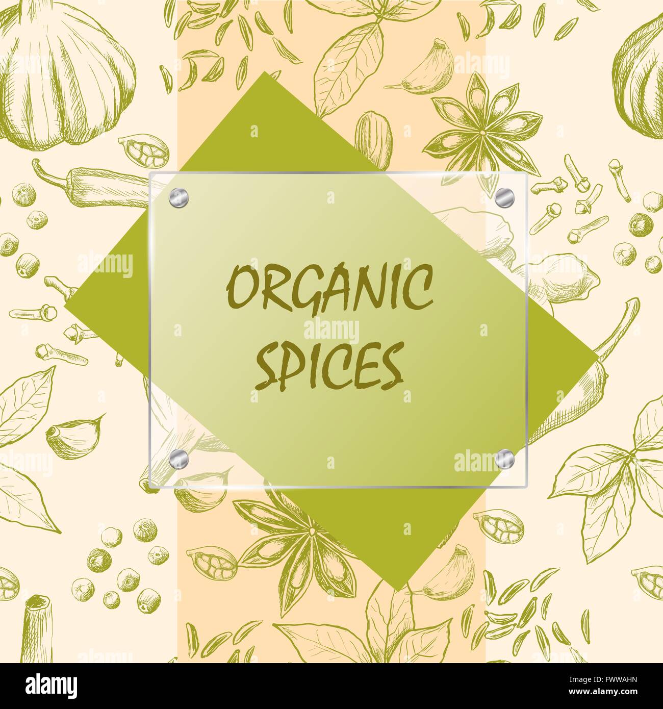 Hand drawn set of organic spices Stock Vector Image & Art - Alamy