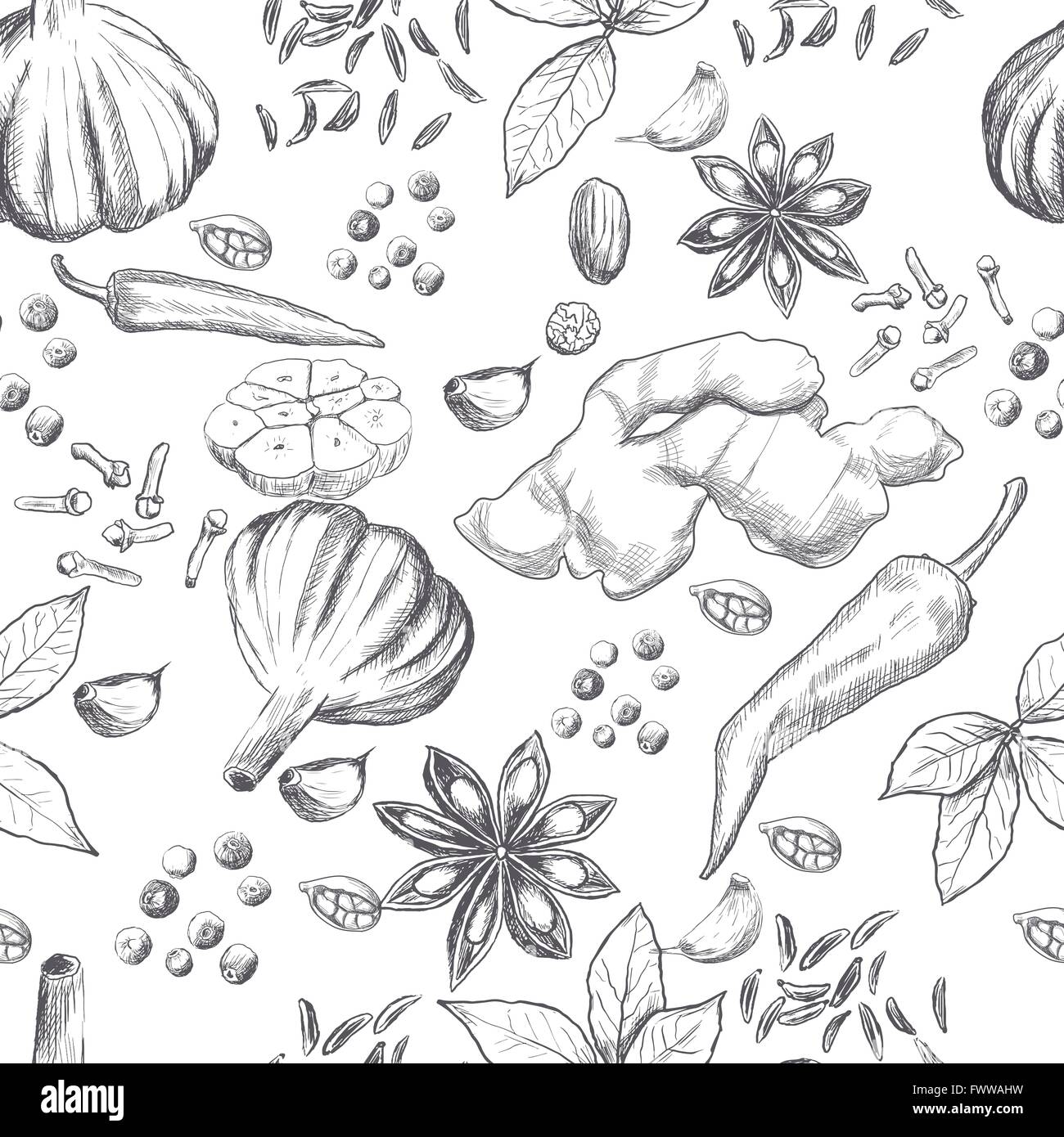 Hand drawn seamless set of organic spices Stock Vector Image & Art - Alamy