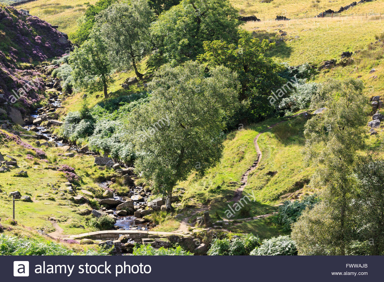The Bronte Bridge High Resolution Stock Photography and Images - Alamy