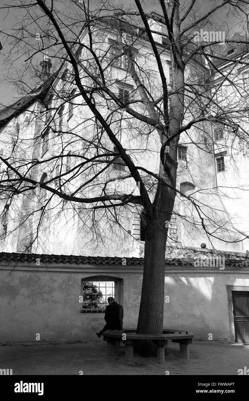 Tree alone vertical Black and White Stock Photos & Images - Alamy