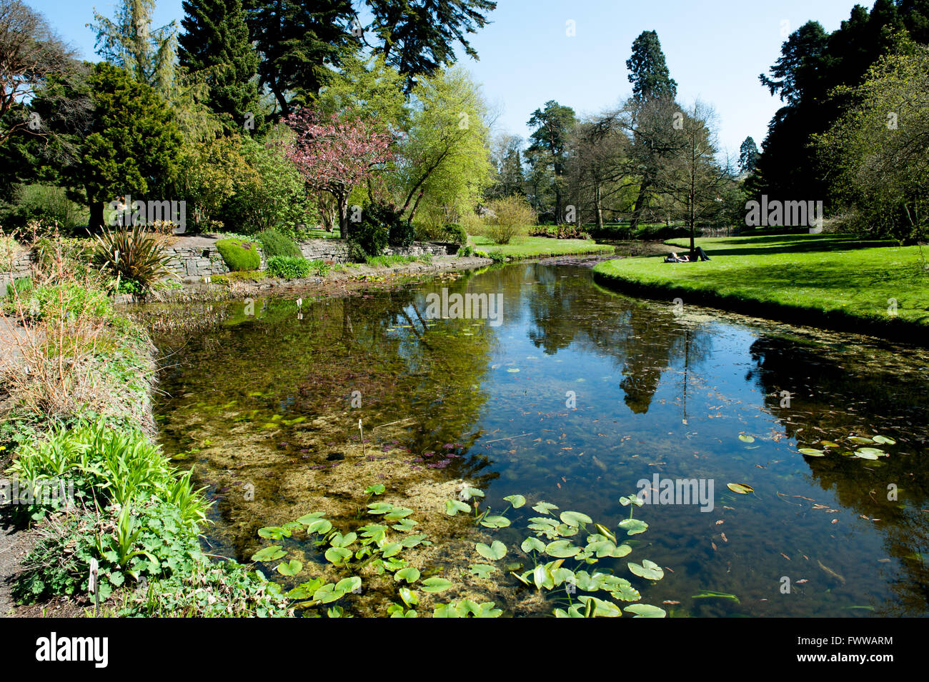 Irish national botanic gardens hi-res stock photography and images - Alamy