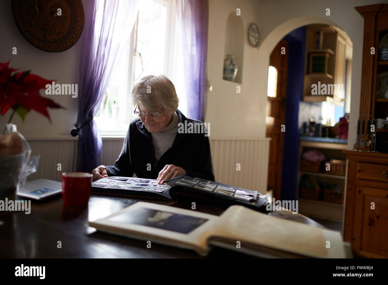 Looking through photo album hi-res stock photography and images - Alamy