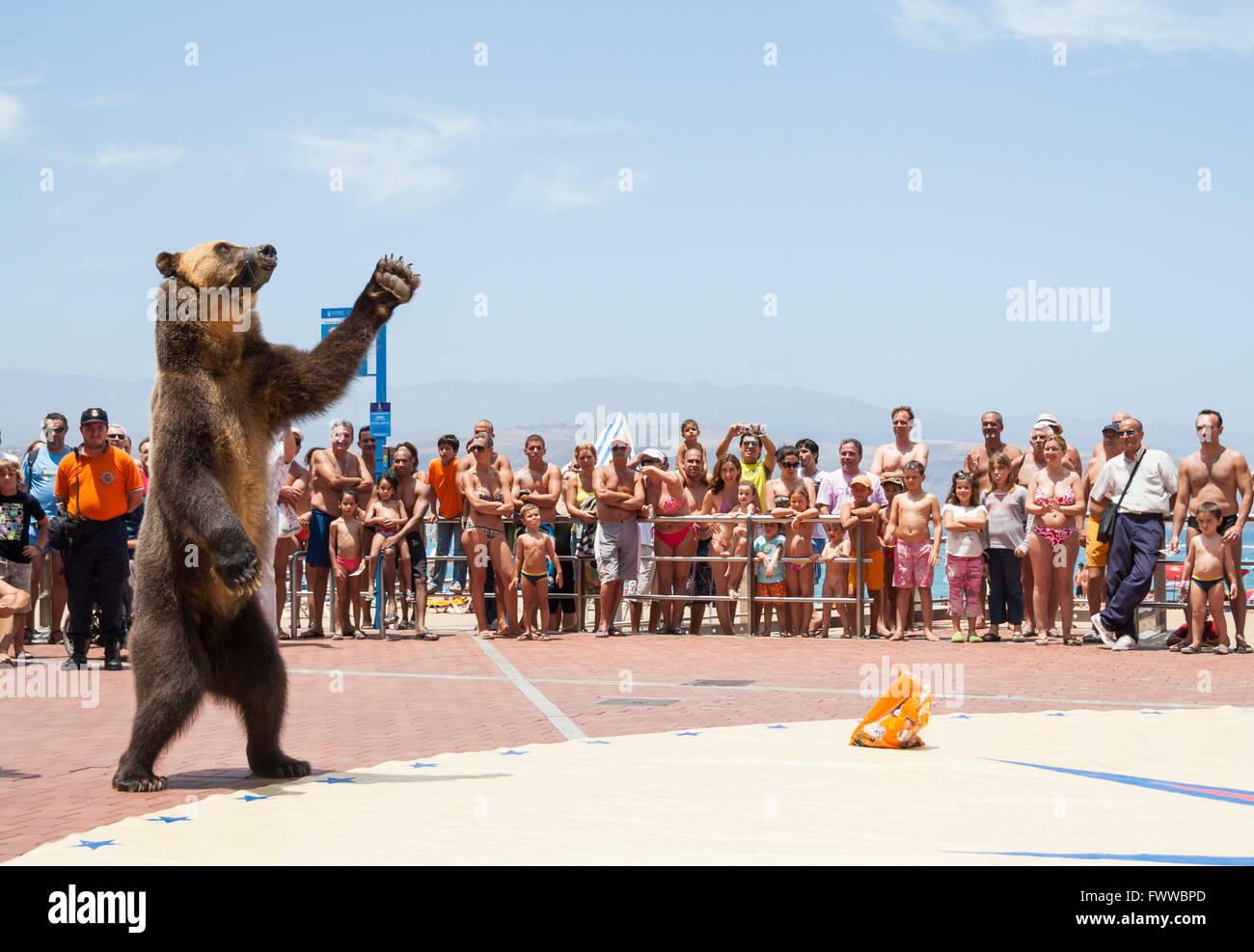 Bear circus hi-res stock photography and images - Alamy