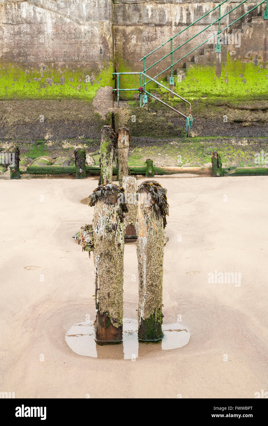 Wooden groynes on Sandsend beach near Whtiby, North Yorkshire, England ...