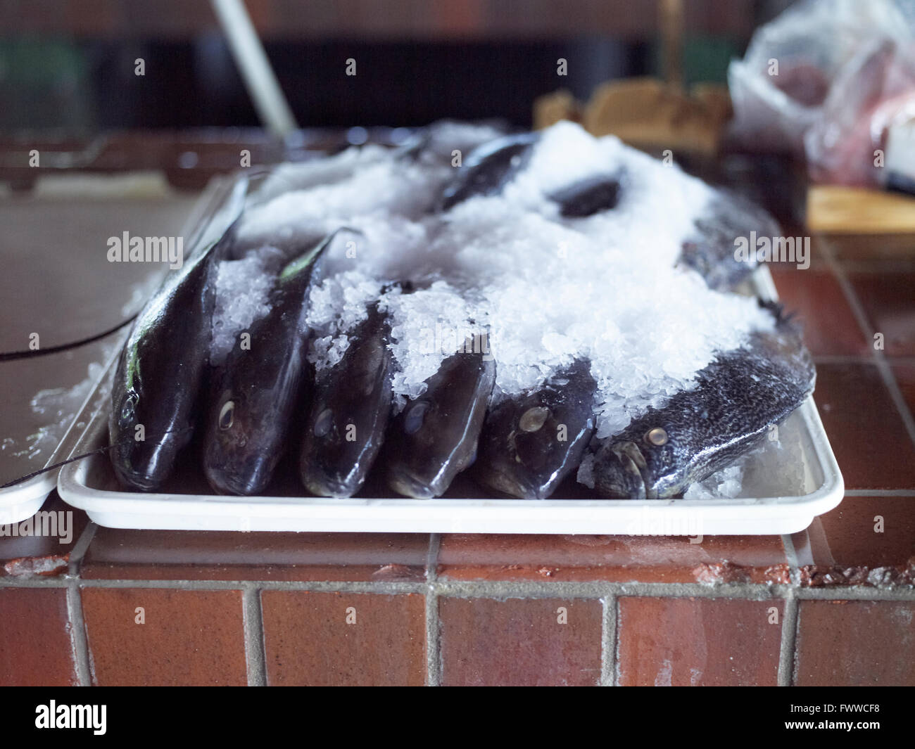 Fish on ice at fish market Barbados Stock Photo - Alamy