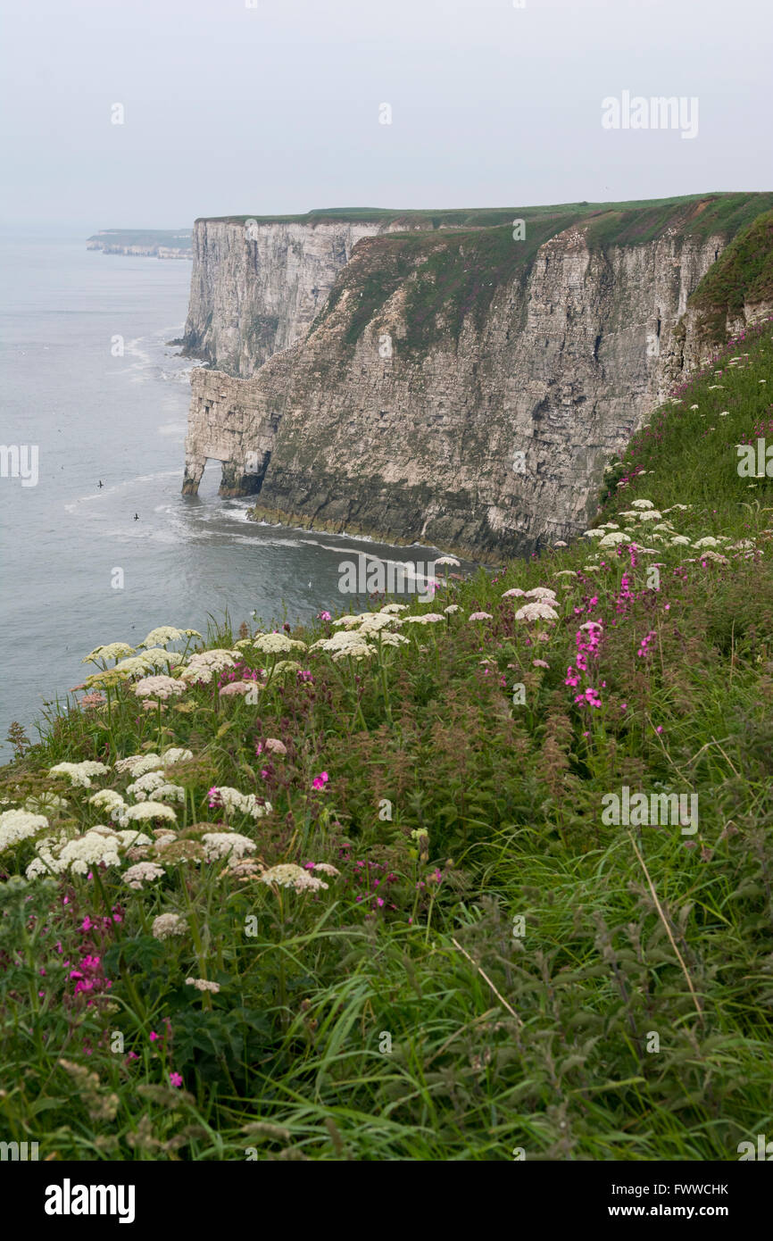 Buckton east yorkshire hi-res stock photography and images - Alamy