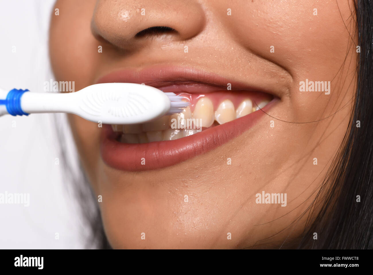 Close-up woman brushing her teeth. Isolated white background Stock ...