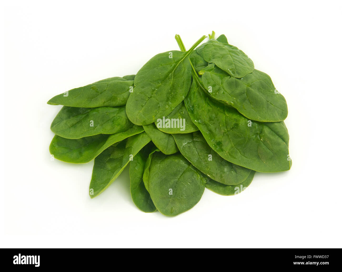 Spinach Bunch, healthy green food Stock Photo - Alamy
