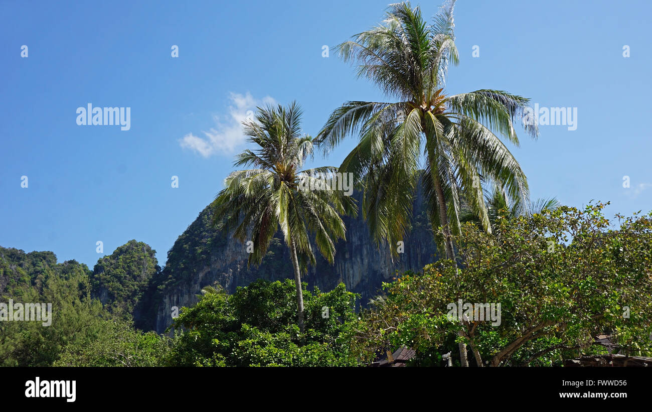 amazing nature paradise railey island in thailand Stock Photo - Alamy
