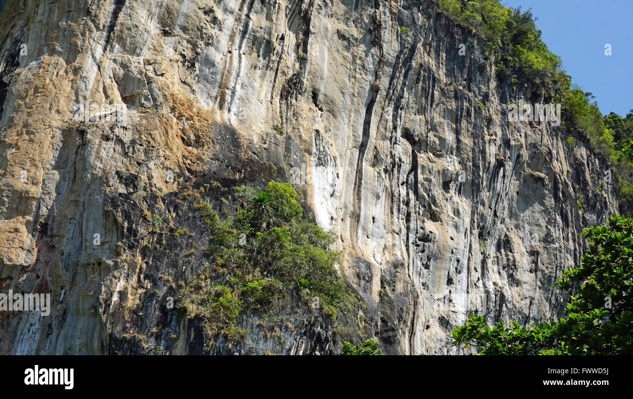 amazing nature paradise railey island in thailand Stock Photo - Alamy