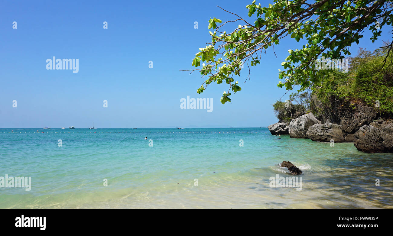 amazing nature paradise railey island in thailand Stock Photo - Alamy