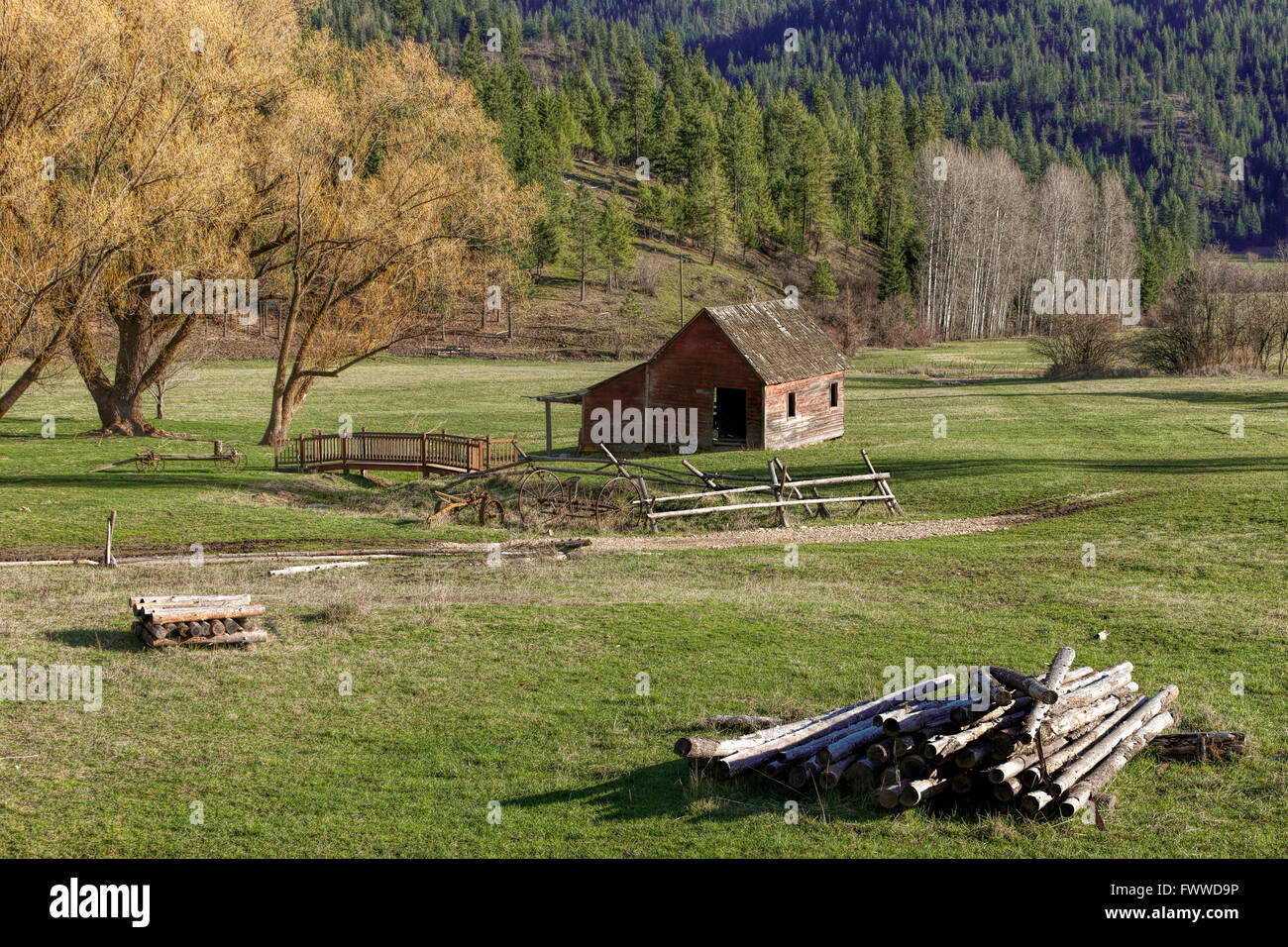 Woodpile and old barn in Idaho Stock Photo - Alamy