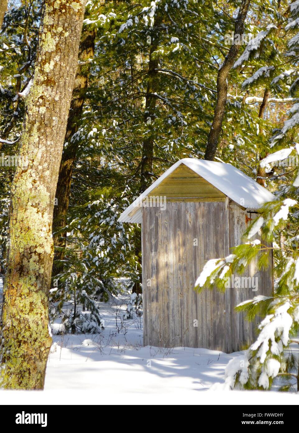 An outhouse in the woods on a sunny winter day Stock Photo - Alamy