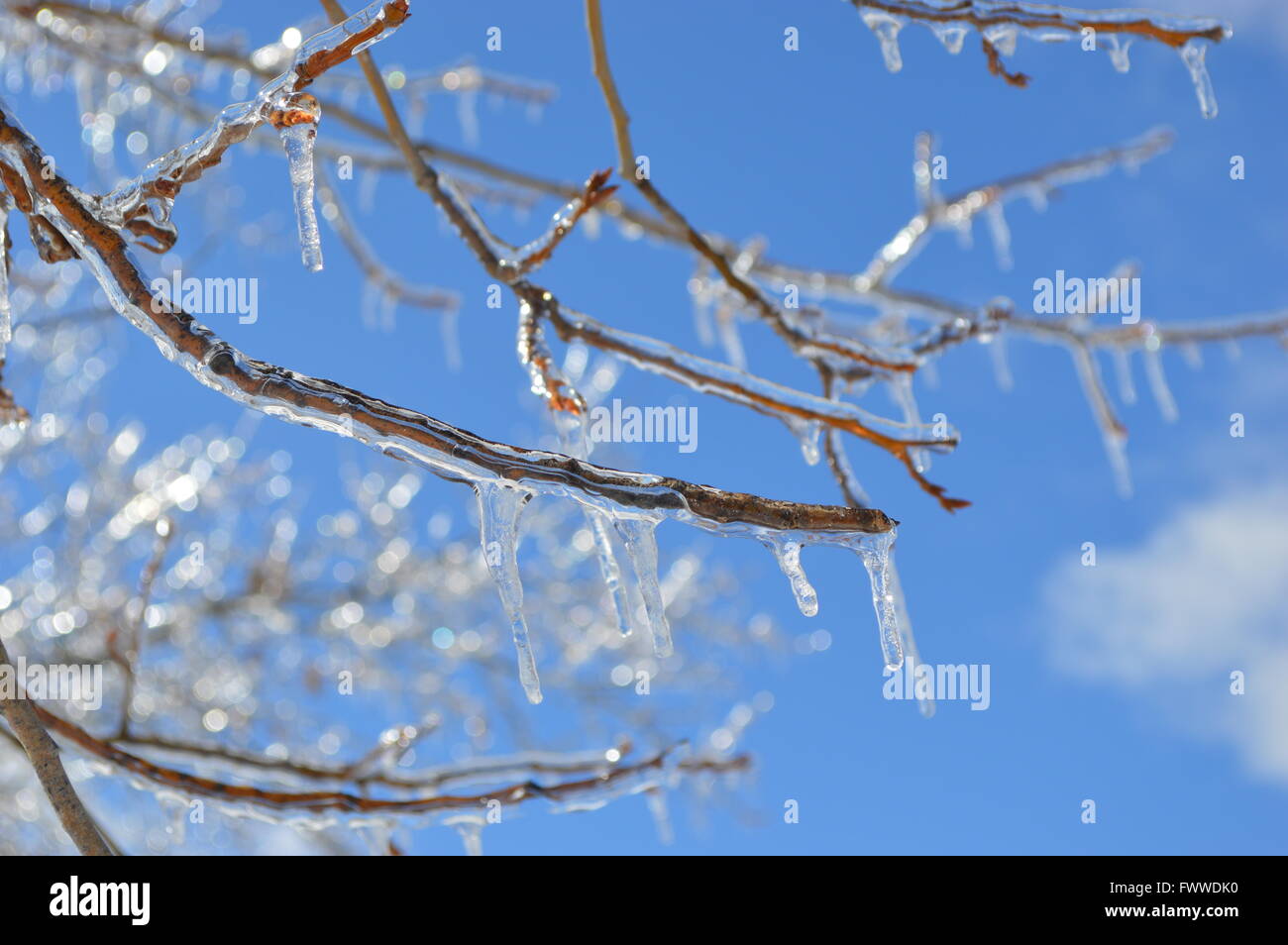 Hanging icicles hi-res stock photography and images - Alamy