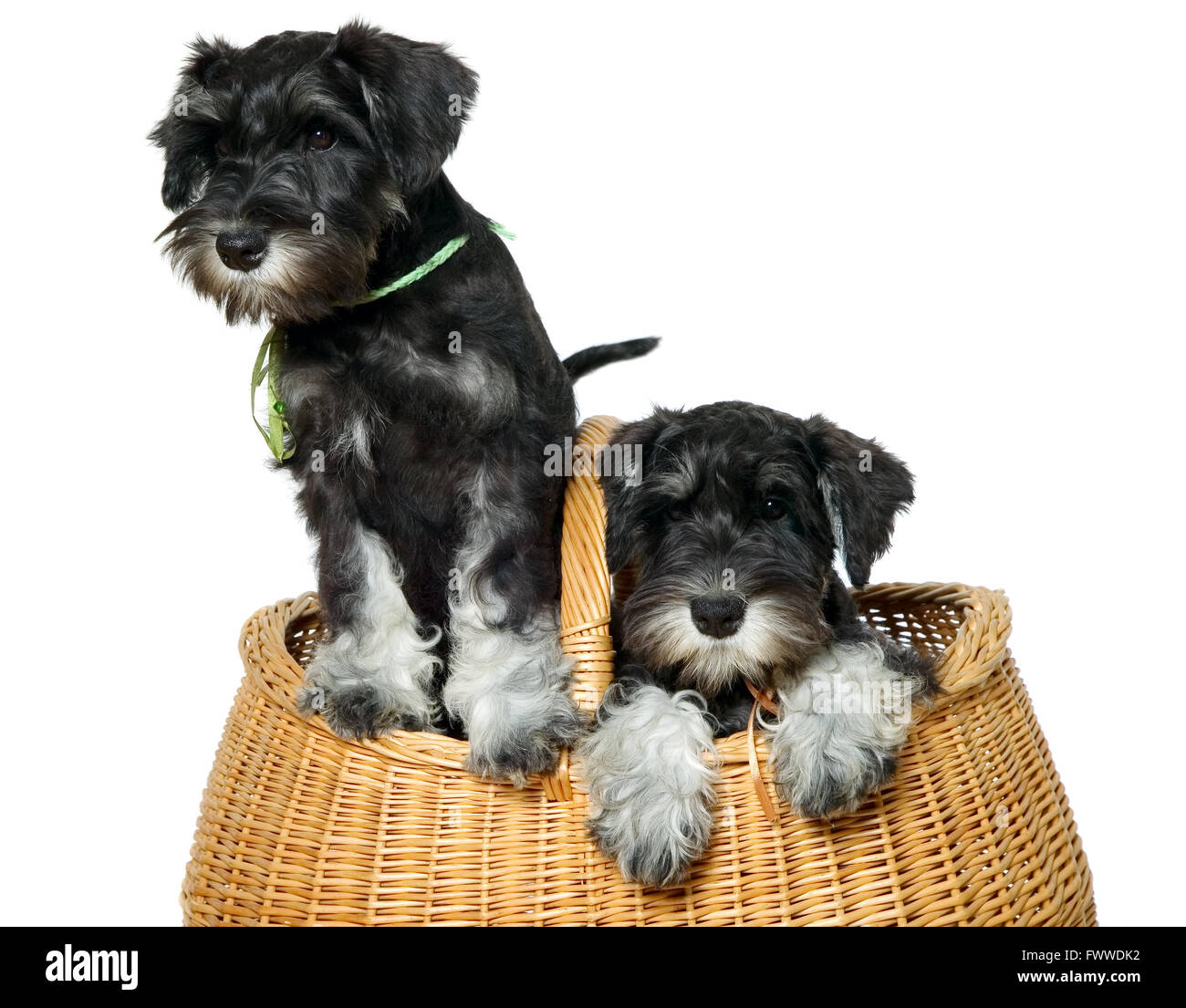 Black and brown bag hi-res stock photography and images - Alamy