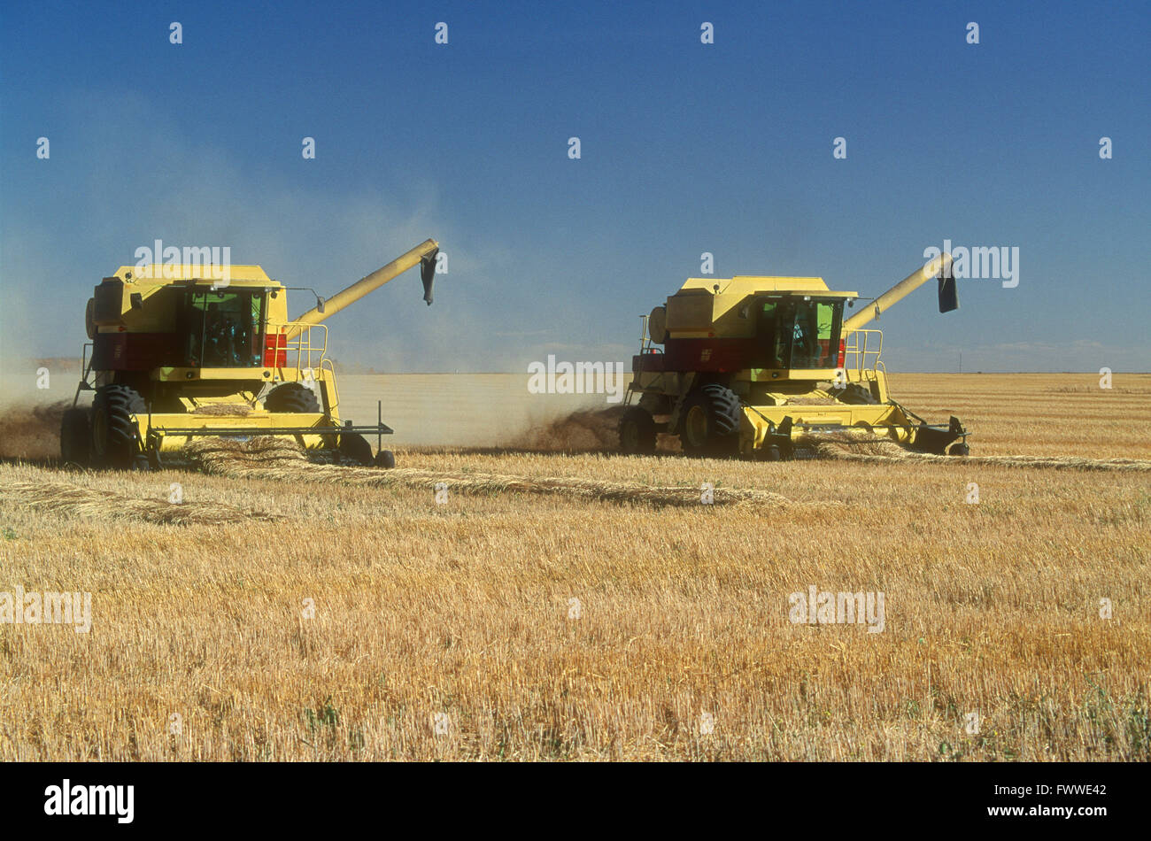 Combine Harvesters Harvesting Grain Prairie Stock Photos & Combine ...