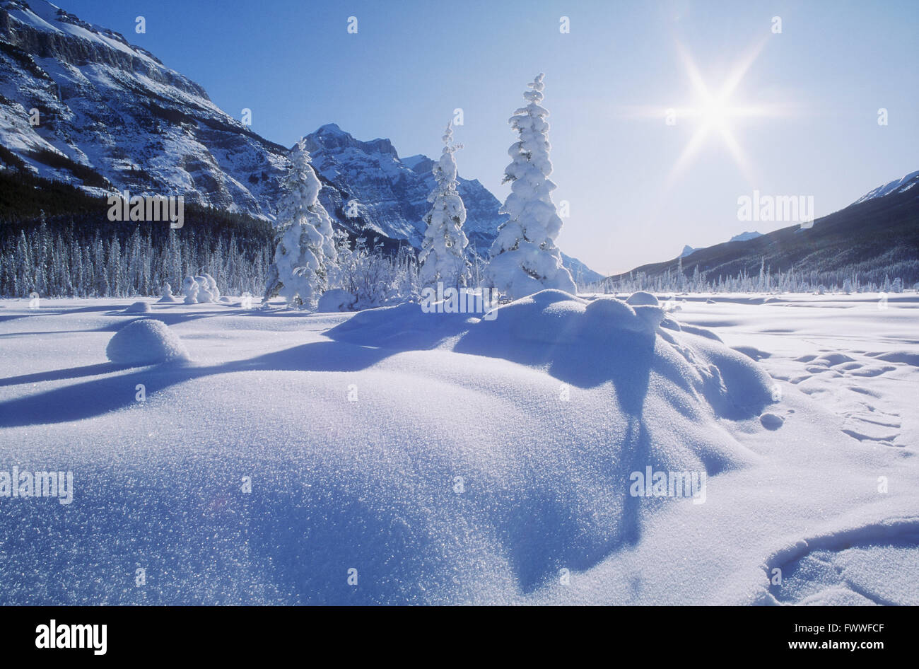 Snow Covered Landscape, Banff National Park, Banff, Alberta, Canada ...