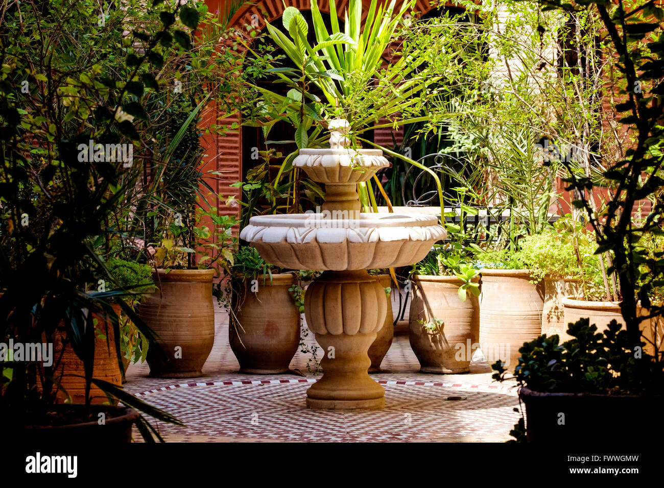 Small trees in pots hi-res stock photography and images - Alamy