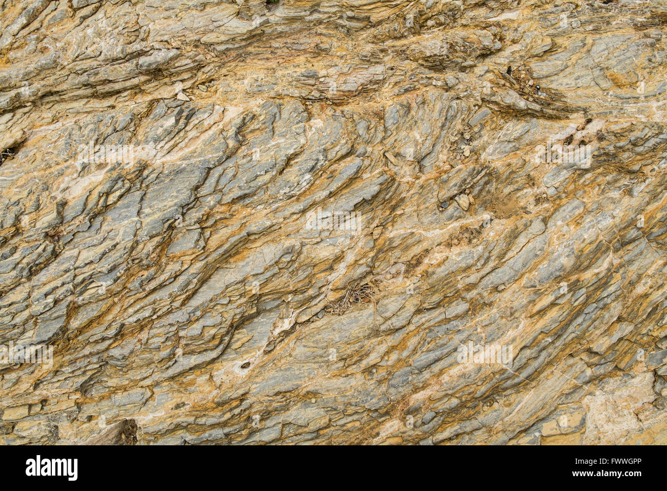 Full frame take of the texture of a limestone rock Stock Photo - Alamy