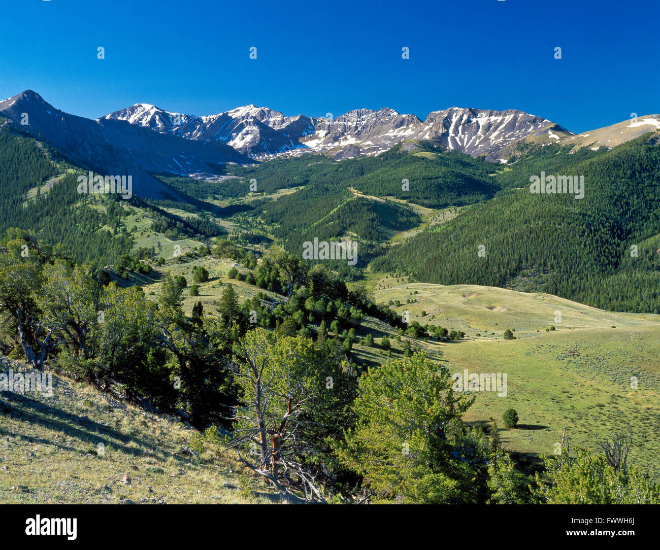 italian peaks section of the beaverhead range above the nicholia creek ...