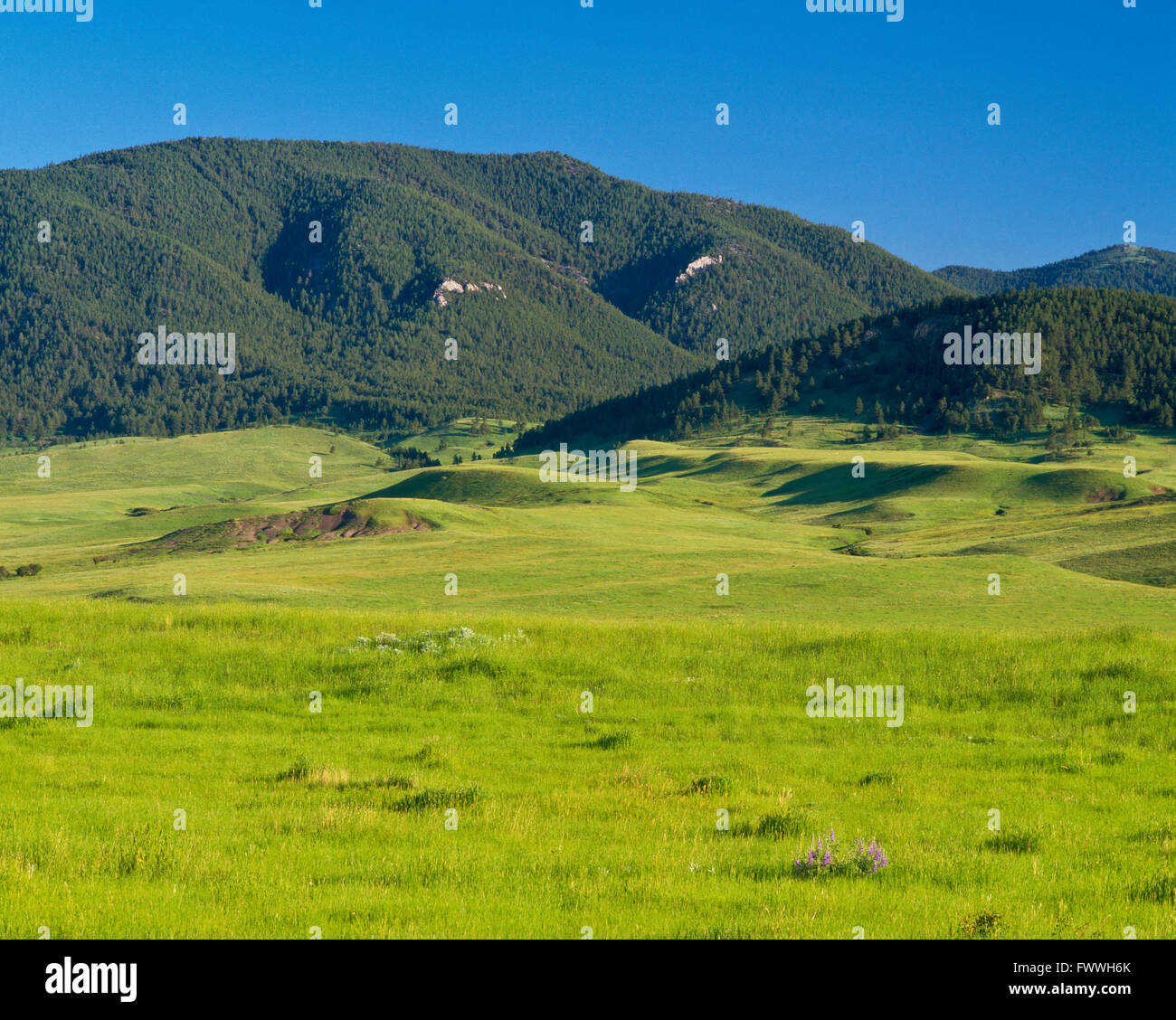 Judith Mountains High Resolution Stock Photography and Images - Alamy