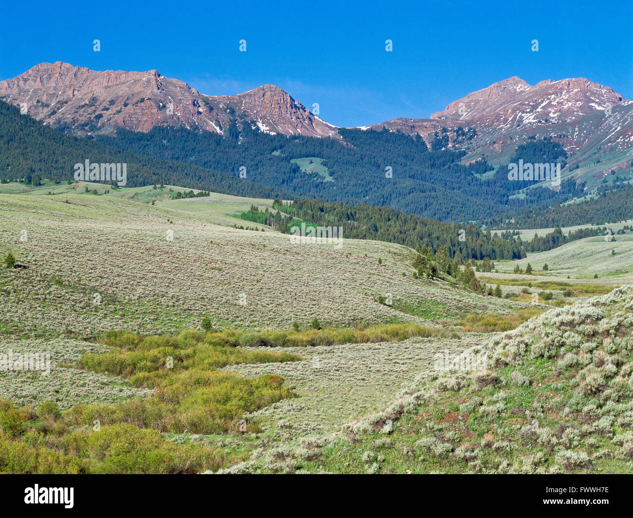 red conglomerate peaks in the sawmill creek basin of the beaverhead ...