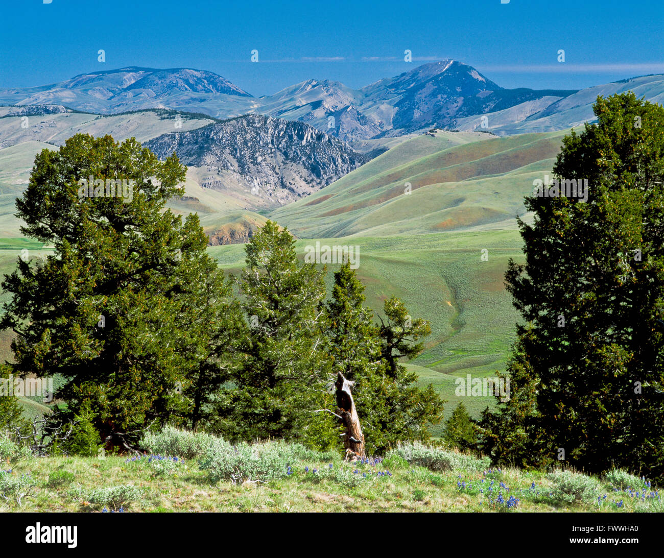 foothills and distant tendoy mountains viewed from ridge near bannack ...